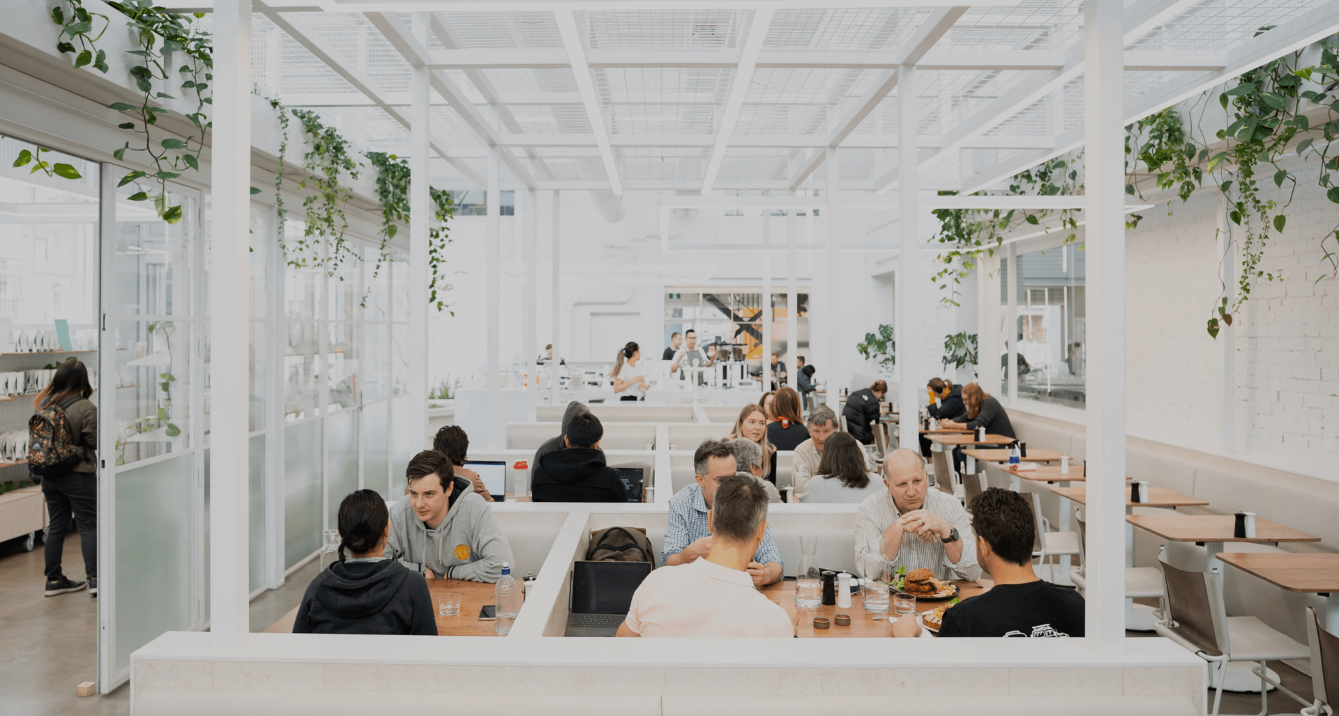 Industry Beans | JTB Studios